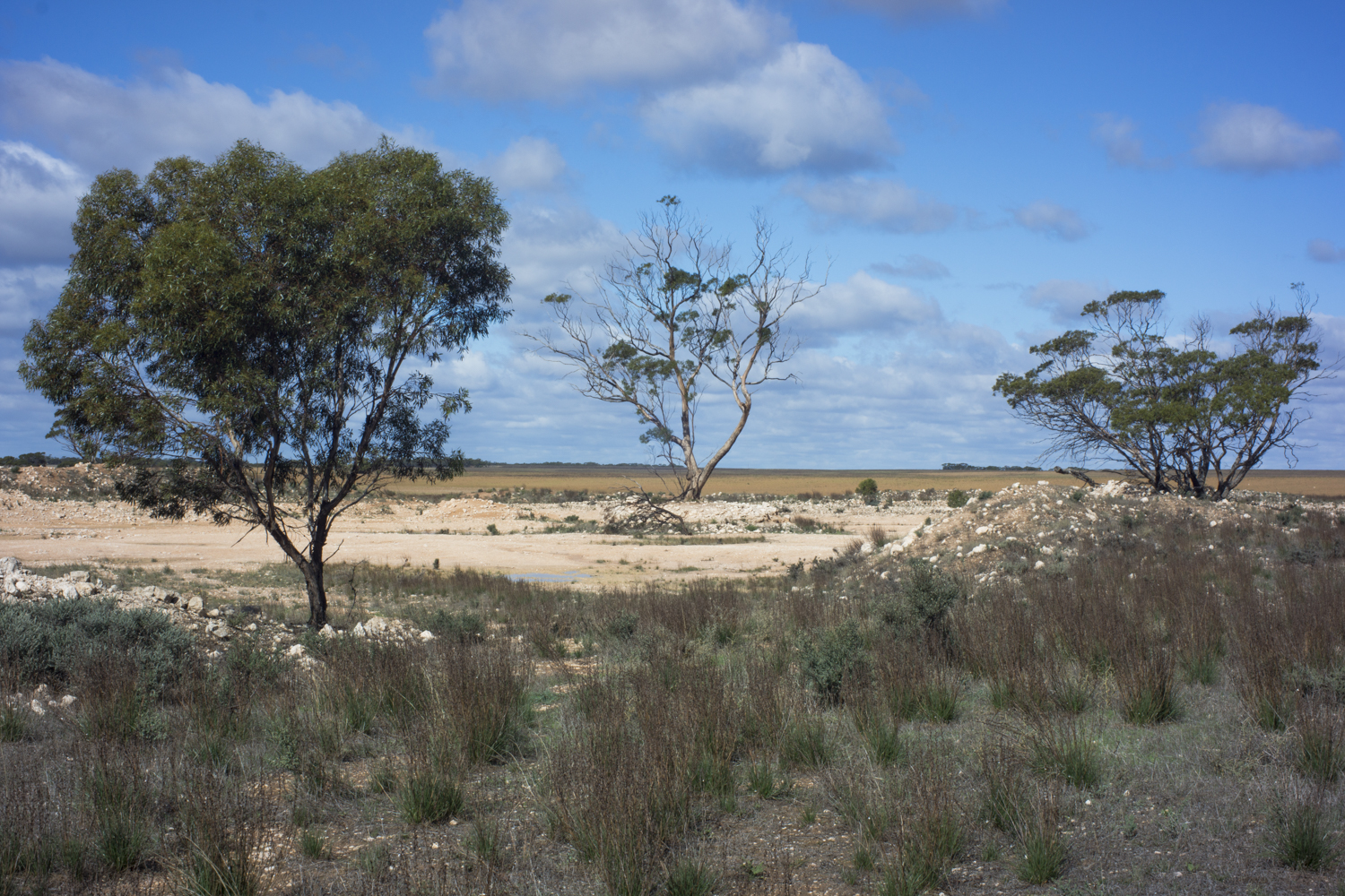 empty landscapes - Mallee Routes