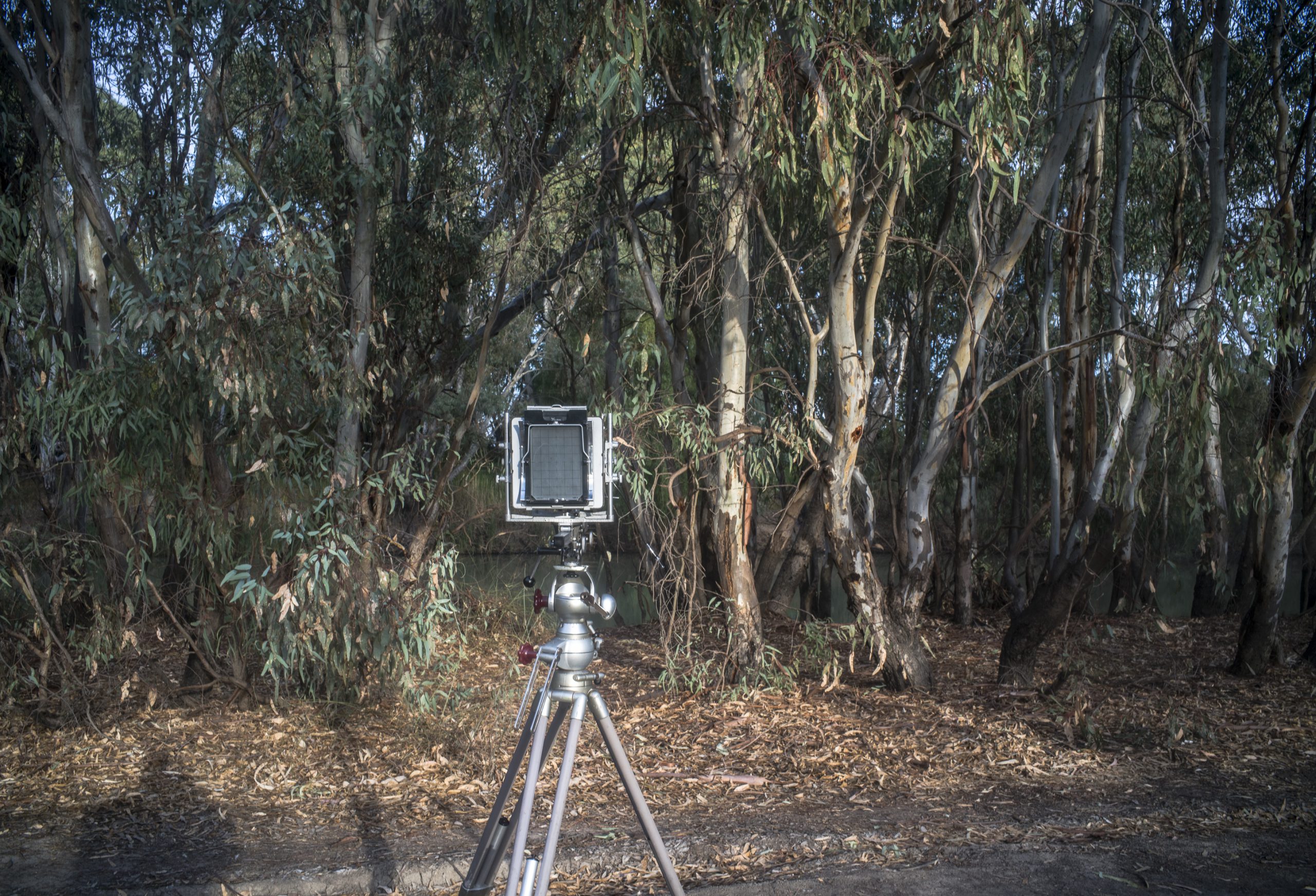 Galleries - Mallee Routes